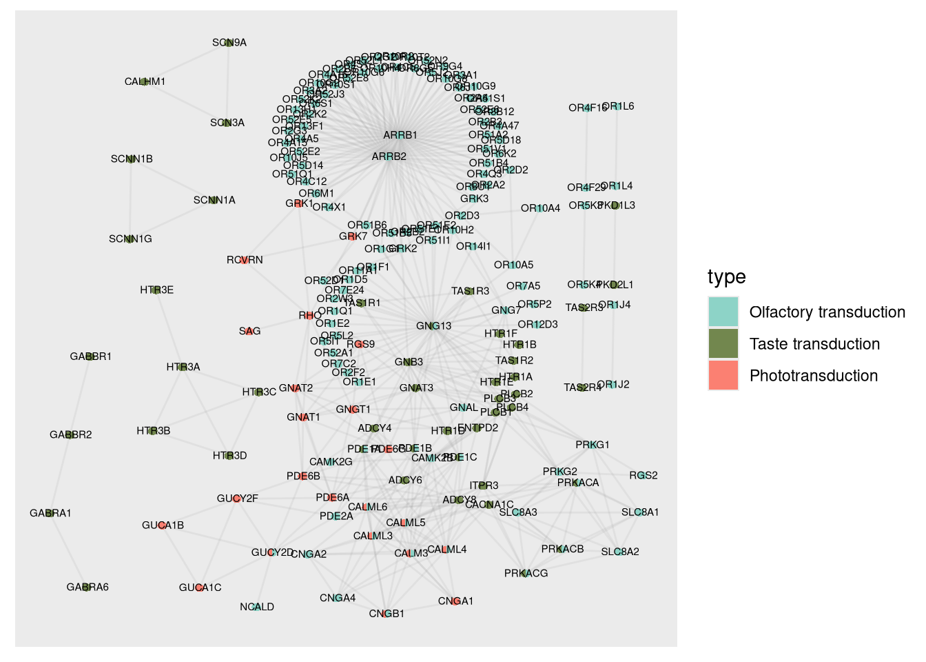 GeneBridge: Inferring the Evolutionary Rooting of Orthologous Genes - 3 ...